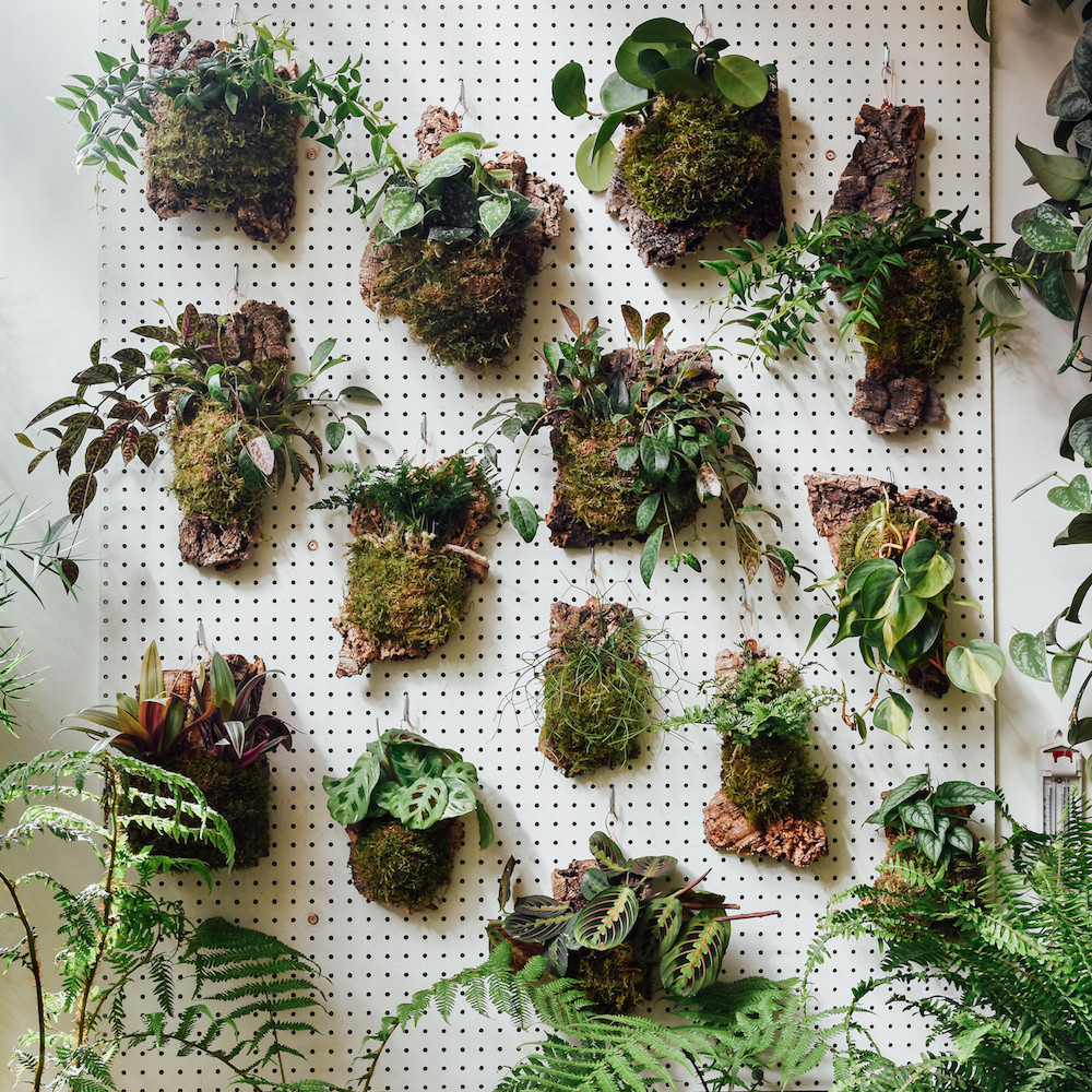 How To Build Vertical Garden - Living Wall Plant Guide | domino