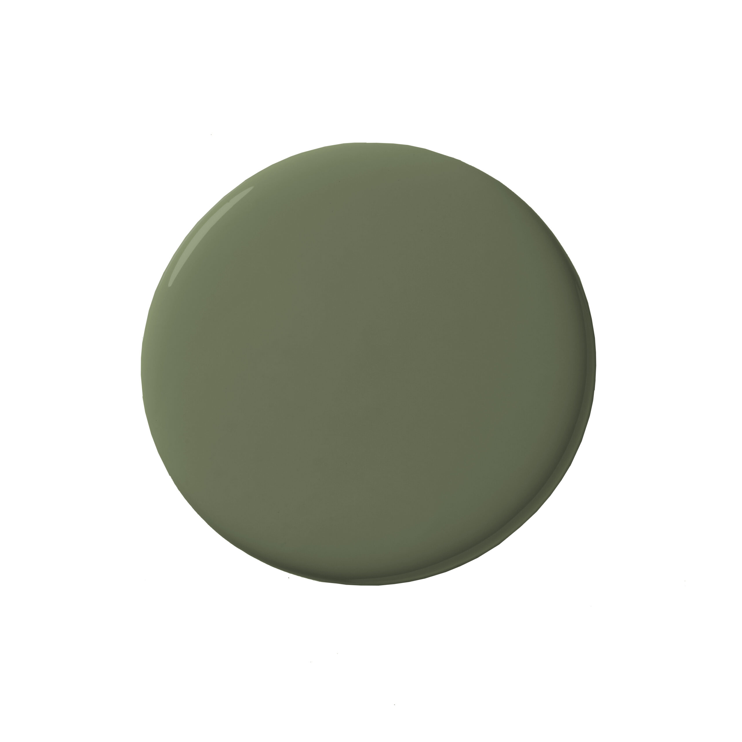 The "Ugly" Paint Colors Dakota Johnson's Interior Designer Swears By