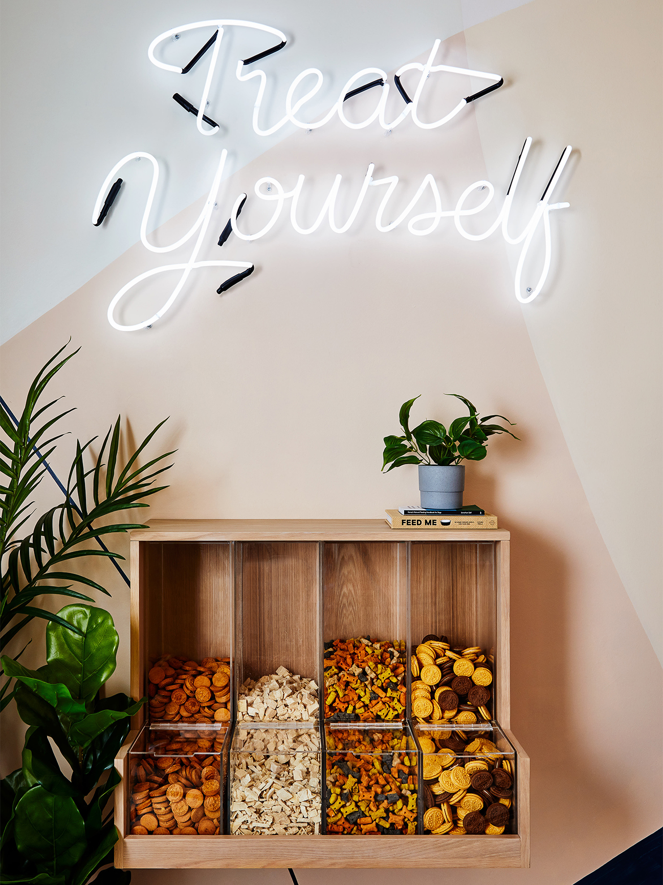 Inside Bond Vet, Brooklyn’s Coolest New Pet Clinic | domino