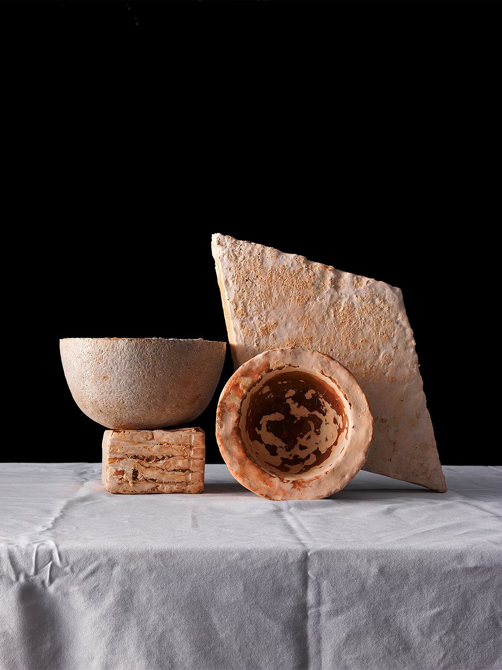 Meet the Sustainable Material That’ll Be in the Homes of the Future