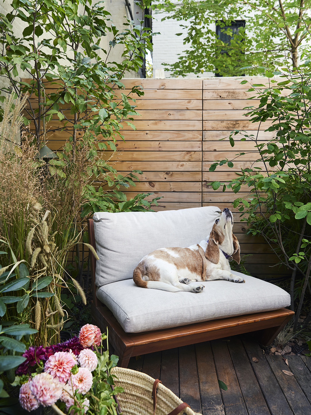 Inside Photographer Winnie Au's Brooklyn Brownstone Backyard Reno
