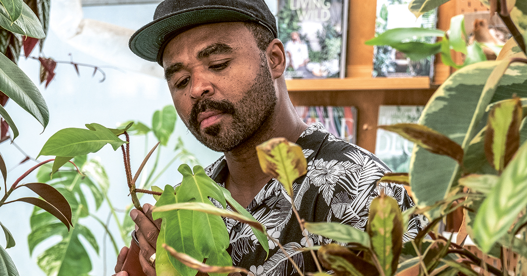 Hilton Carter's 5 Favorite Plants to Propagate from Stem Cuts