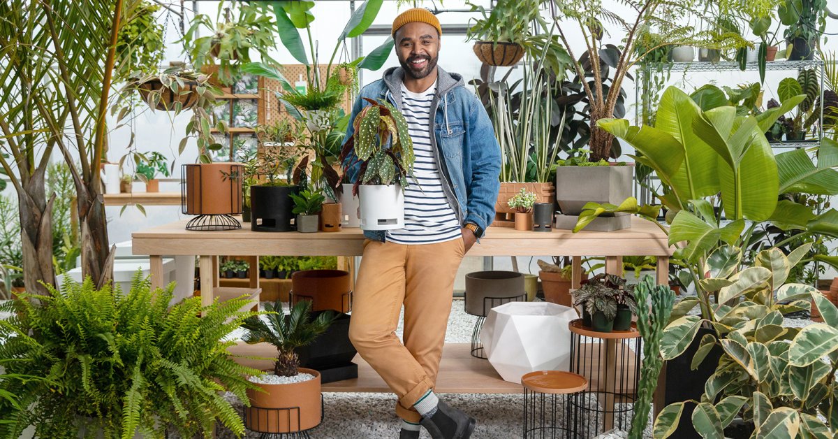 Hilton Carter's New Target Drop Features a Convincing Faux Version of ...