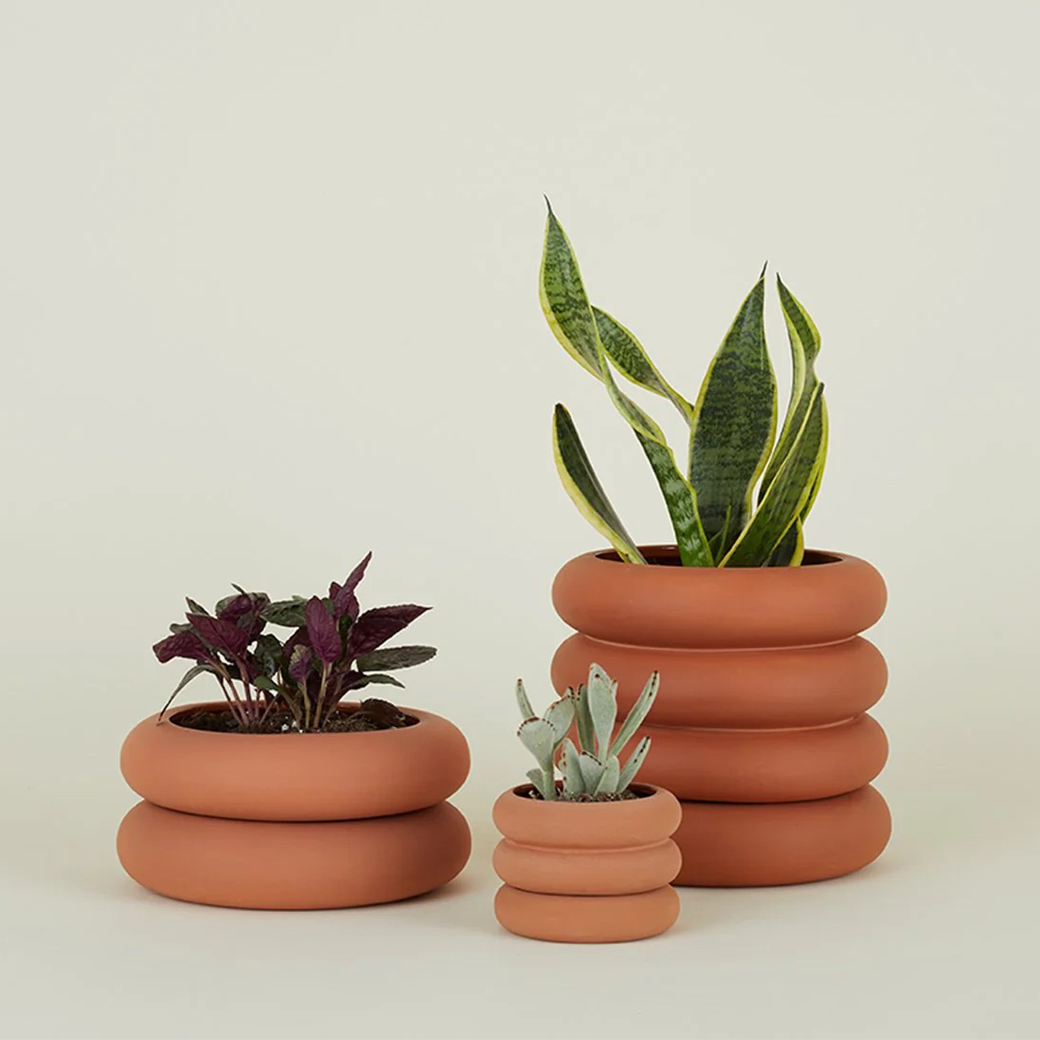 15 Terracotta Planter Ideas That Aren't Boring | domino