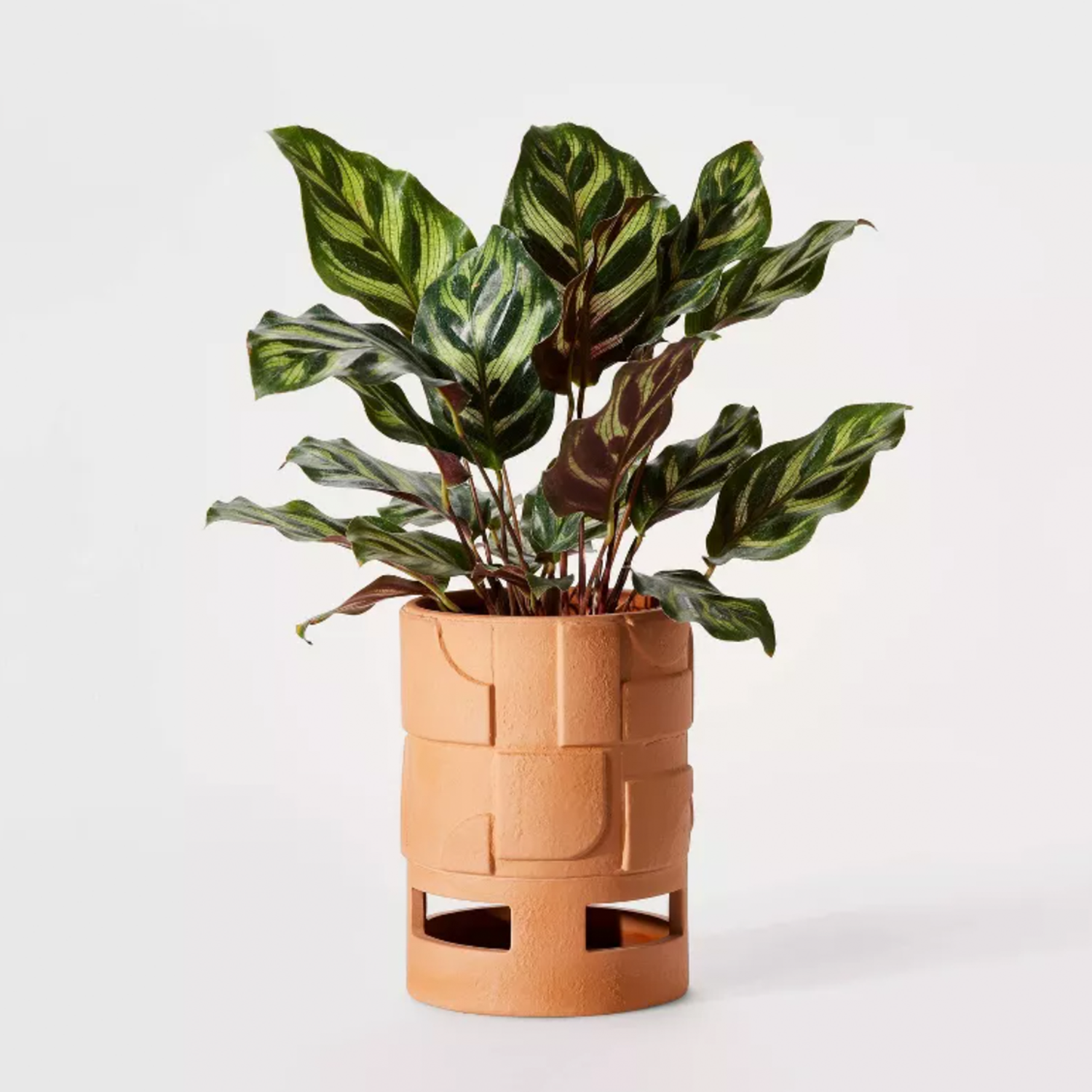 15 Terracotta Planter Ideas That Aren't Boring | domino