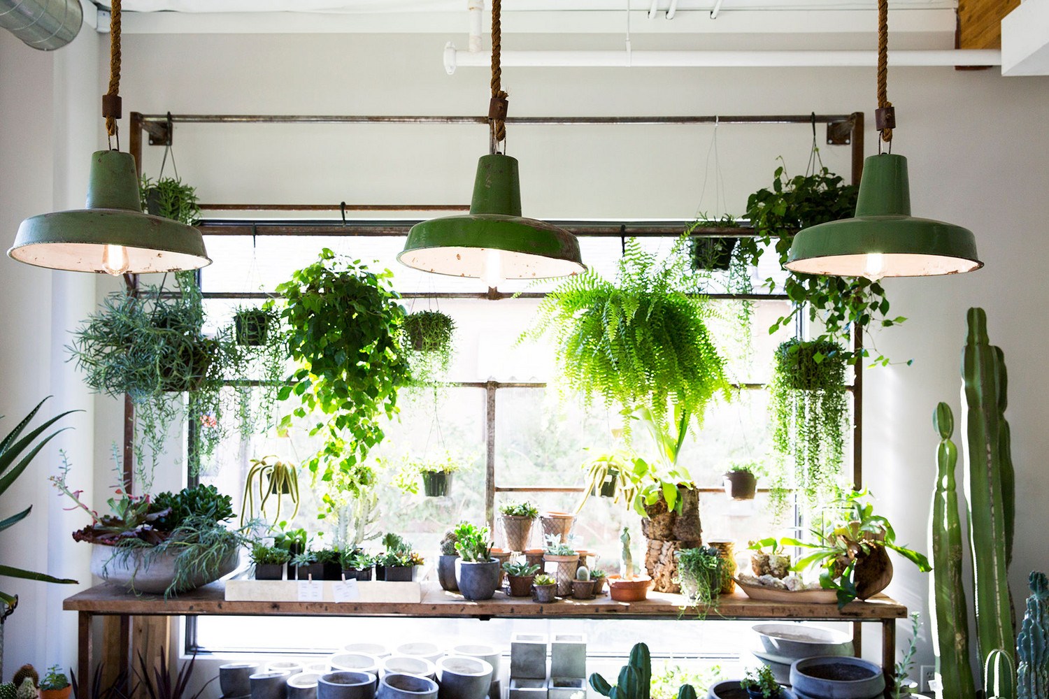 Camelback Flower Shop Phoenix