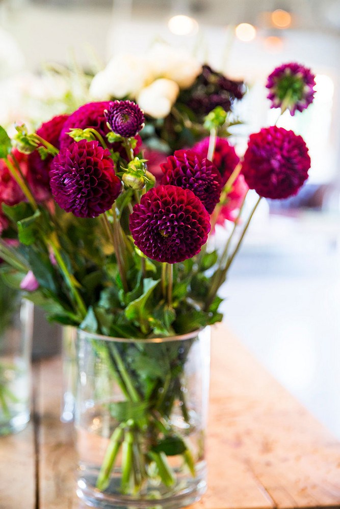 Camelback Flower Shop Phoenix