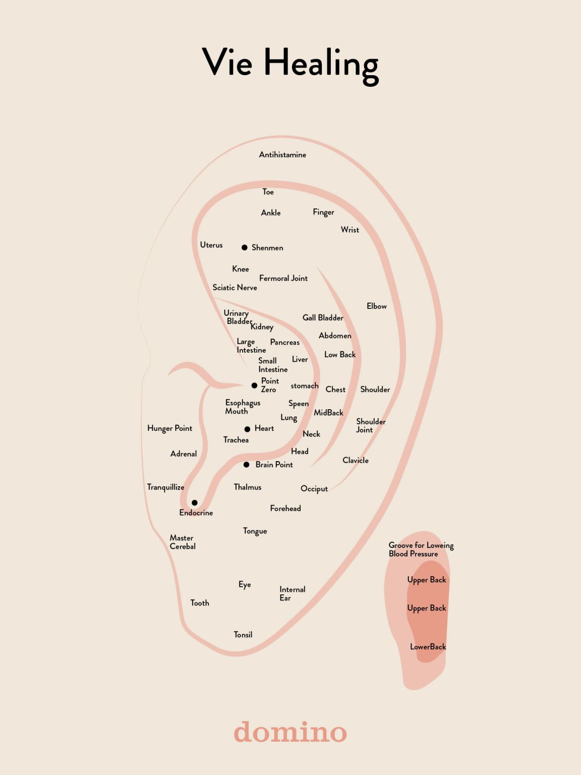 Ear Seeds Review and Experience - Acupuncture DIY