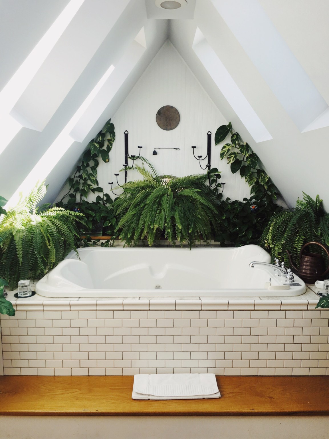 Everything You’ve Ever Wanted to Know About Plant Walls