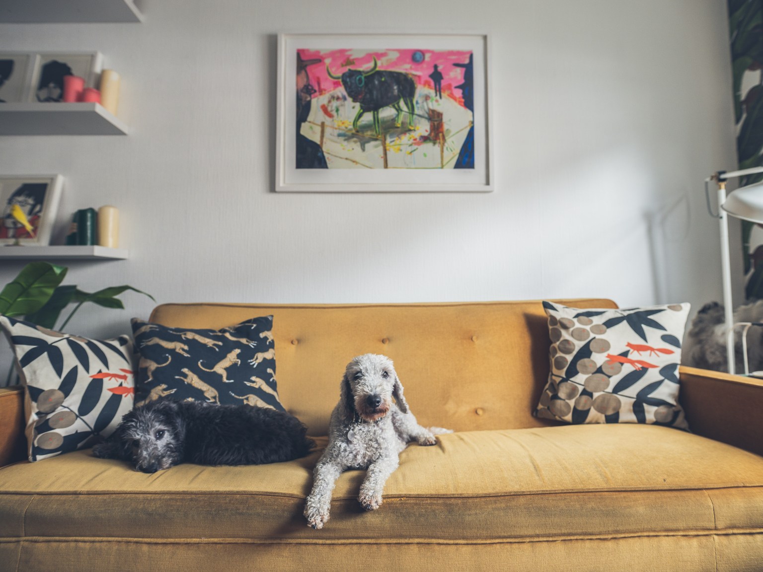 This Colorful Home Is Full of eBay Finds