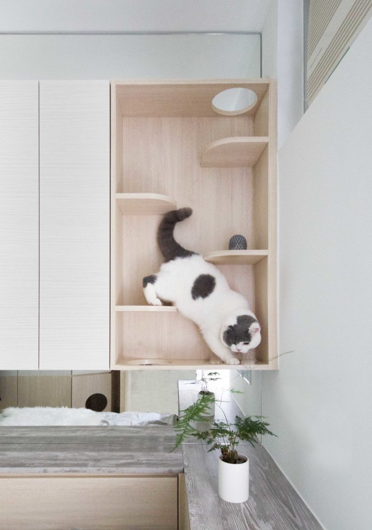 This Pet-Friendly Hong Kong Apartment Is Shockingly Chic