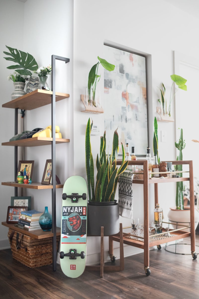 5 Unique House Plants You Should Definitely Buy Now