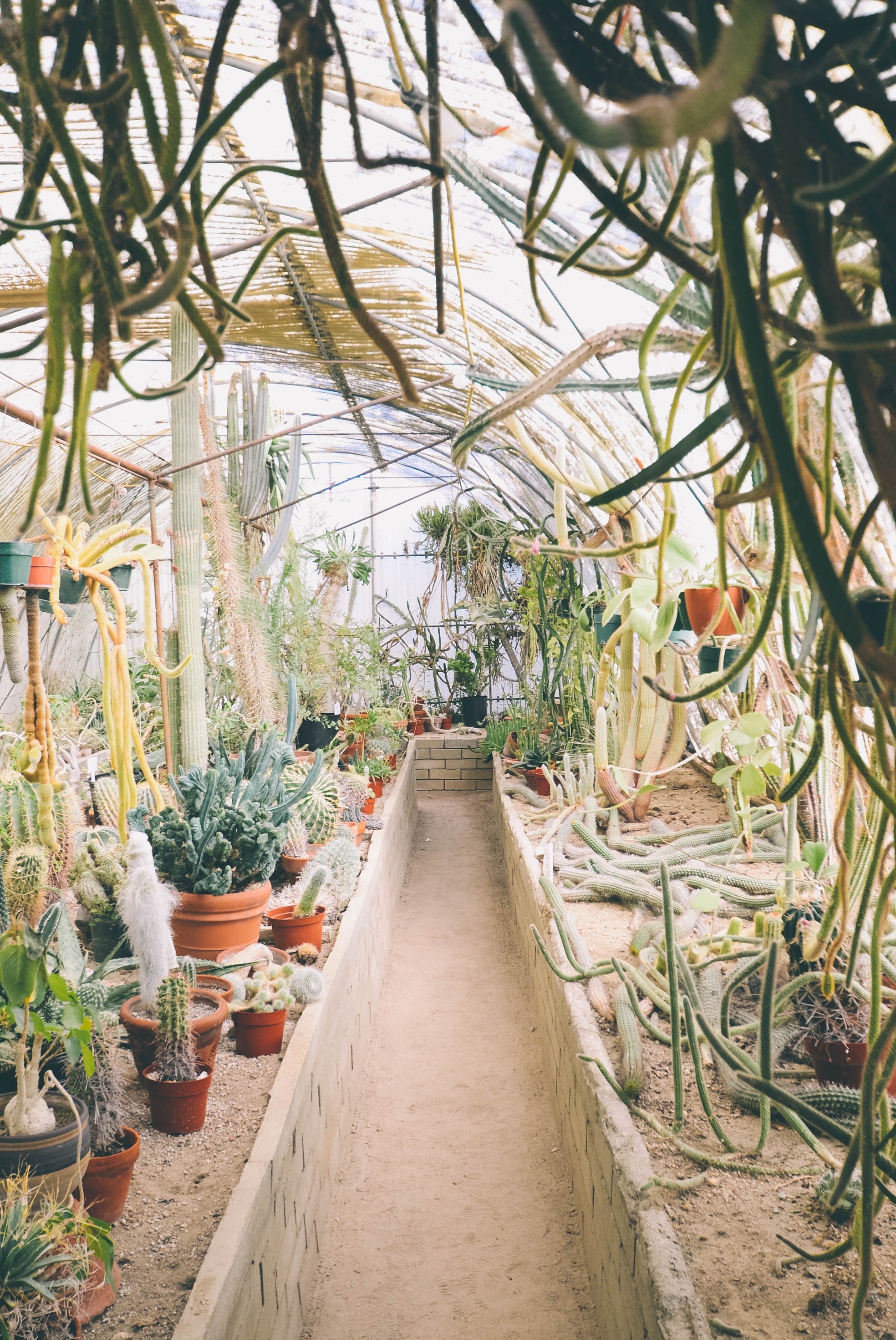 Greenhouse Inspiration to Go From Indoor Garden to Outdoor Oasis