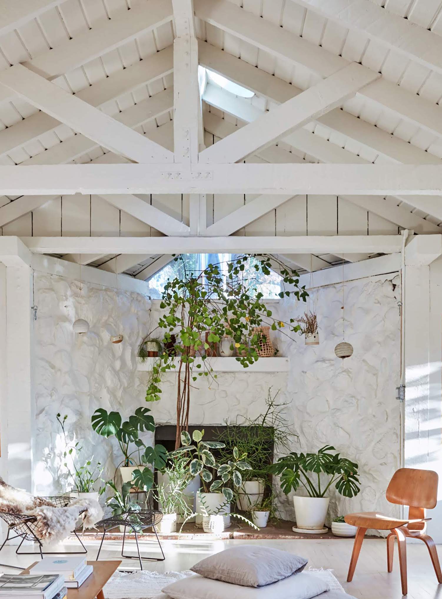 The Best Indoor Plants on Instagram Aren’t What You’d Expect