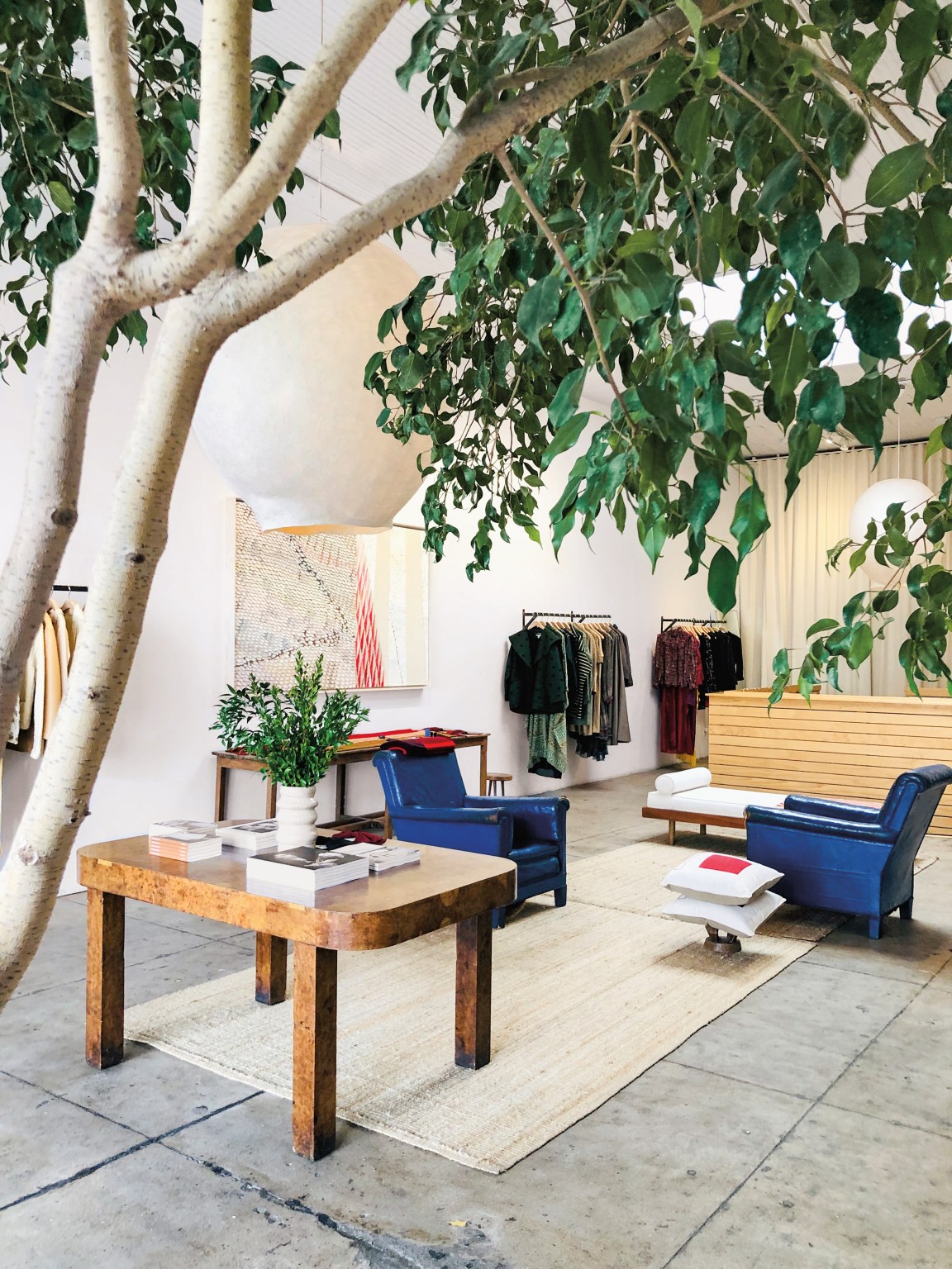 The Best Things to Do in Tucson, According to a Local