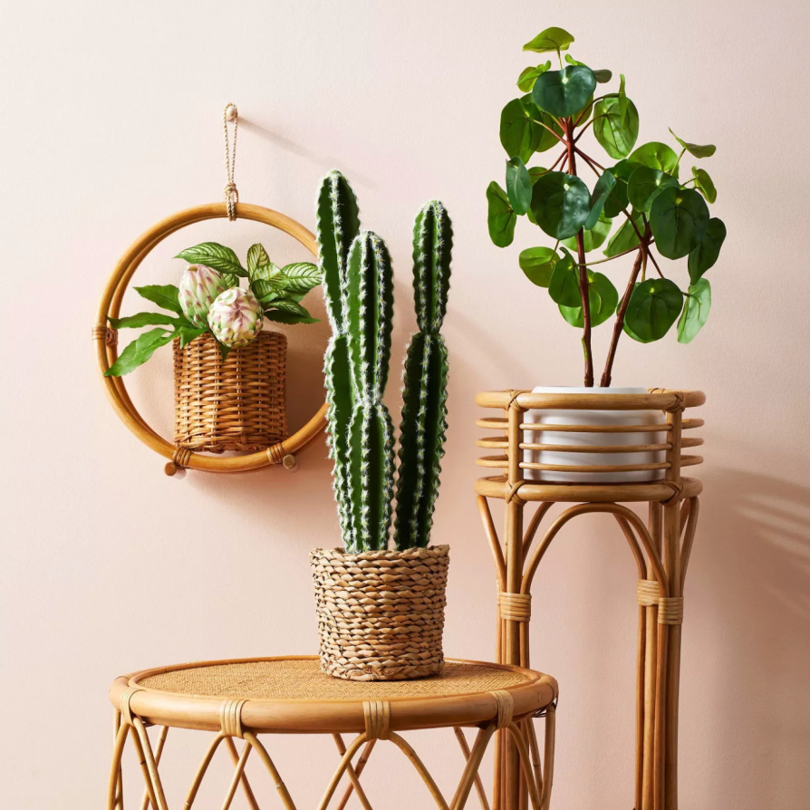 Target’s Opalhouse Released Artificial Plants That Actually Look Real