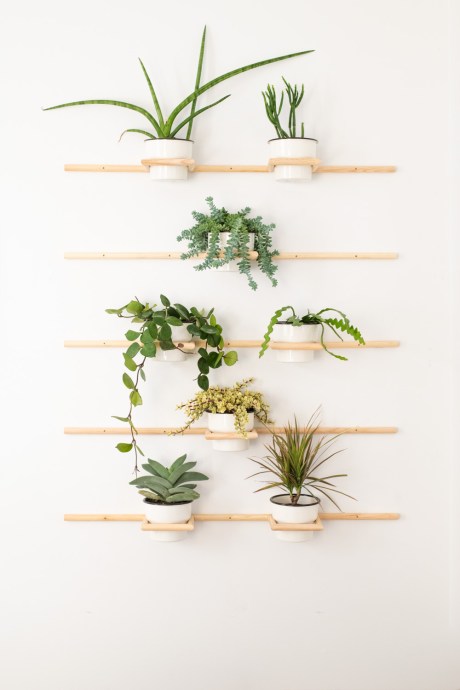 6 Indoor Plant Pot Ideas No One Will See Coming