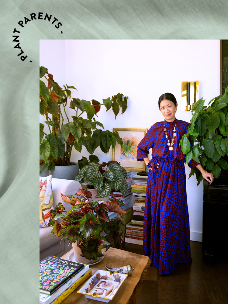 How Domino’s Creative Director Tends to Her Apartment Full of Plants