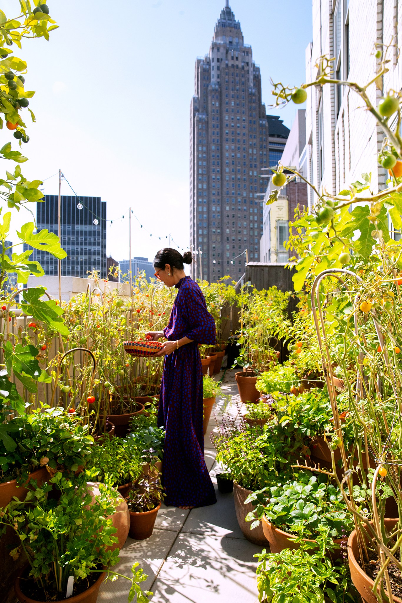 How Domino’s Creative Director Tends to Her Apartment Full of Plants