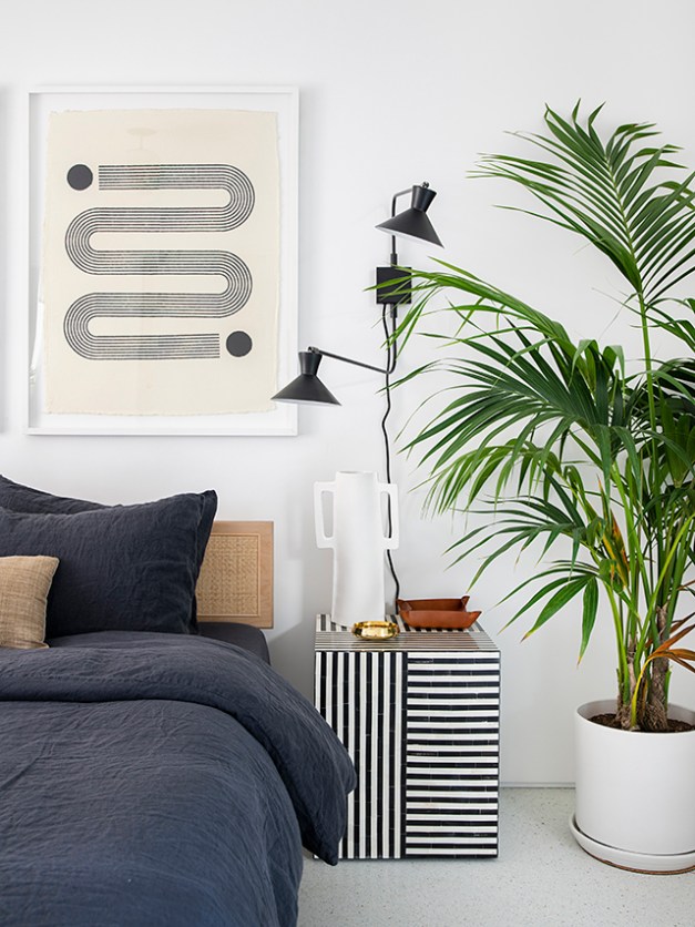 Tips on How to Keep Your Plants Alive from a Plant Stylist Expert