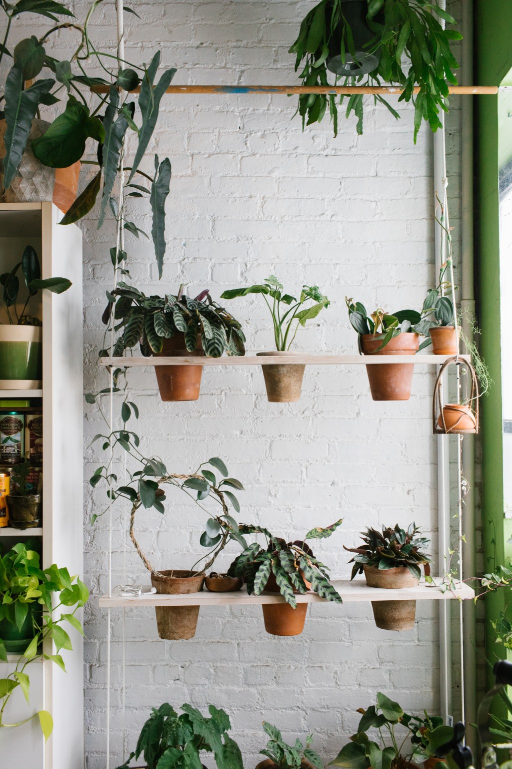 Take a Look Inside the Best Plant Instagram Accounts