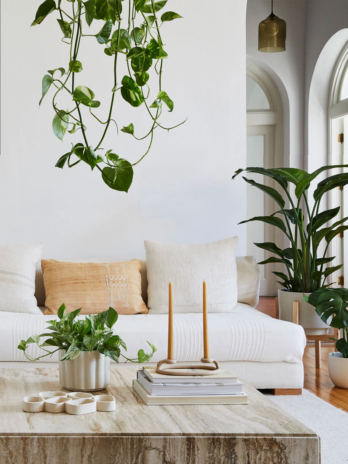Everything You Need to Know About Pothos Plant Care