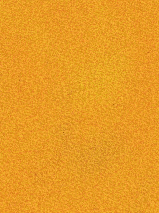 How to Make Natural Dye With What’s in Your Kitchen