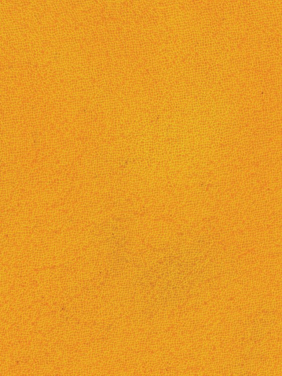 How to Make Natural Dye With What’s in Your Kitchen