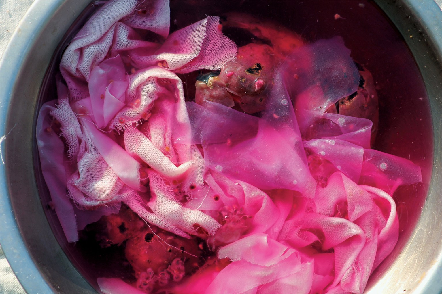 How to Make Natural Dye With What’s in Your Kitchen