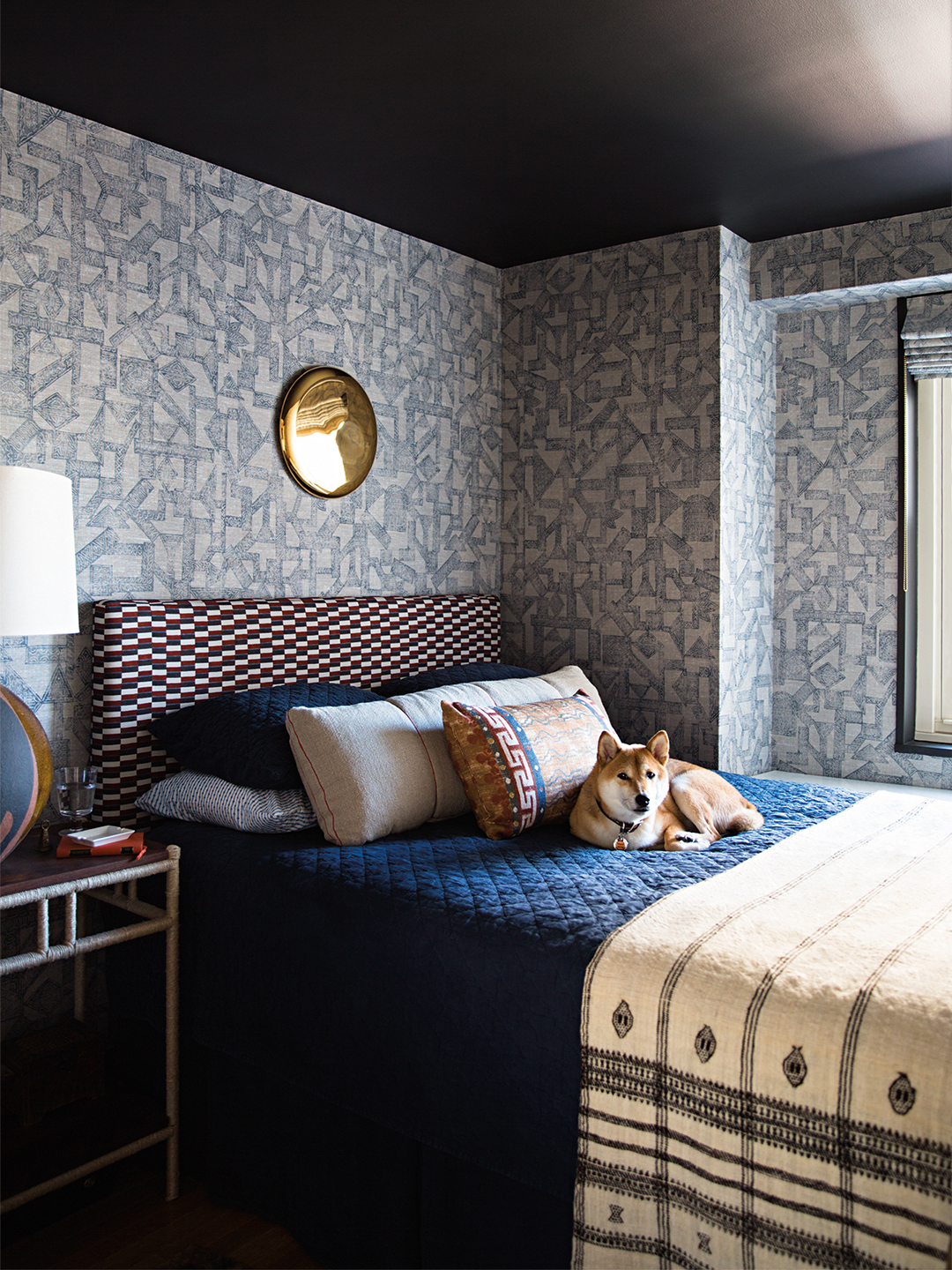 Here's Your Guide to Fostering a Dog