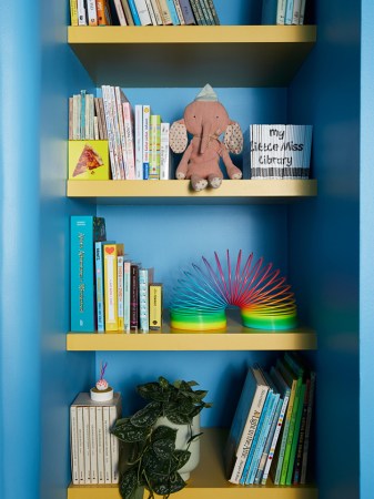 7 Painted Bookshelf Ideas You Can Easily DIY