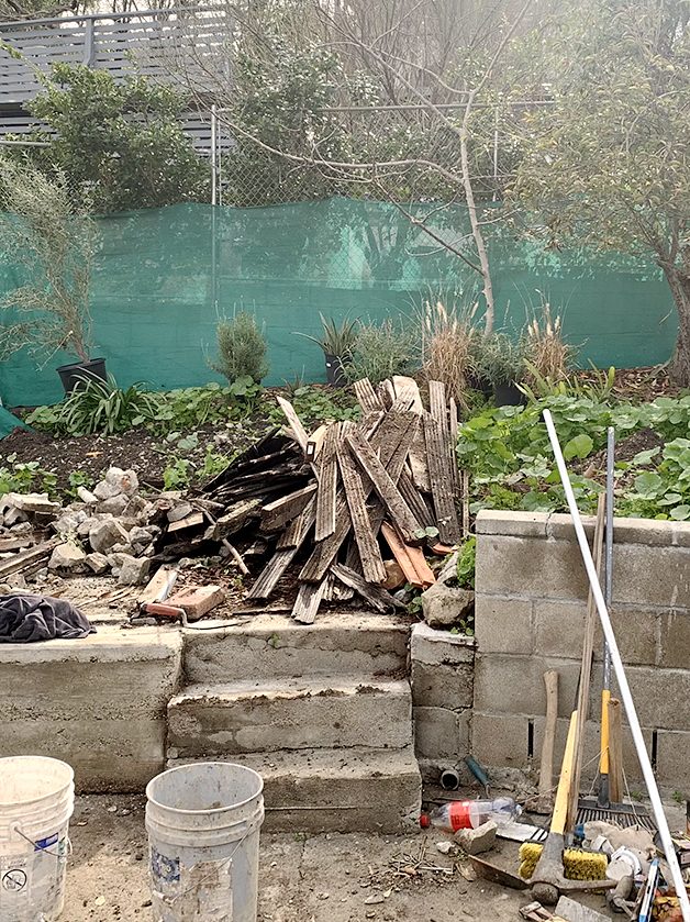 This LA Backyard Went from a Wild Mess to Drought-Tolerant Oasis