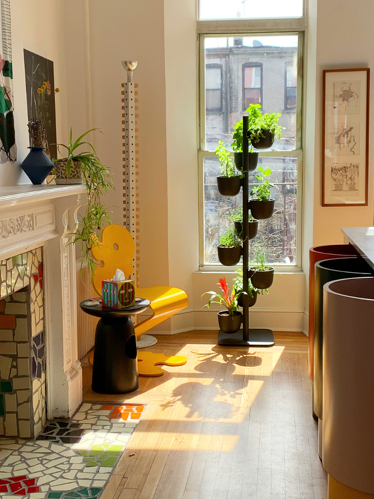 How to Start a Quarantine Garden, According to Three People Who Did