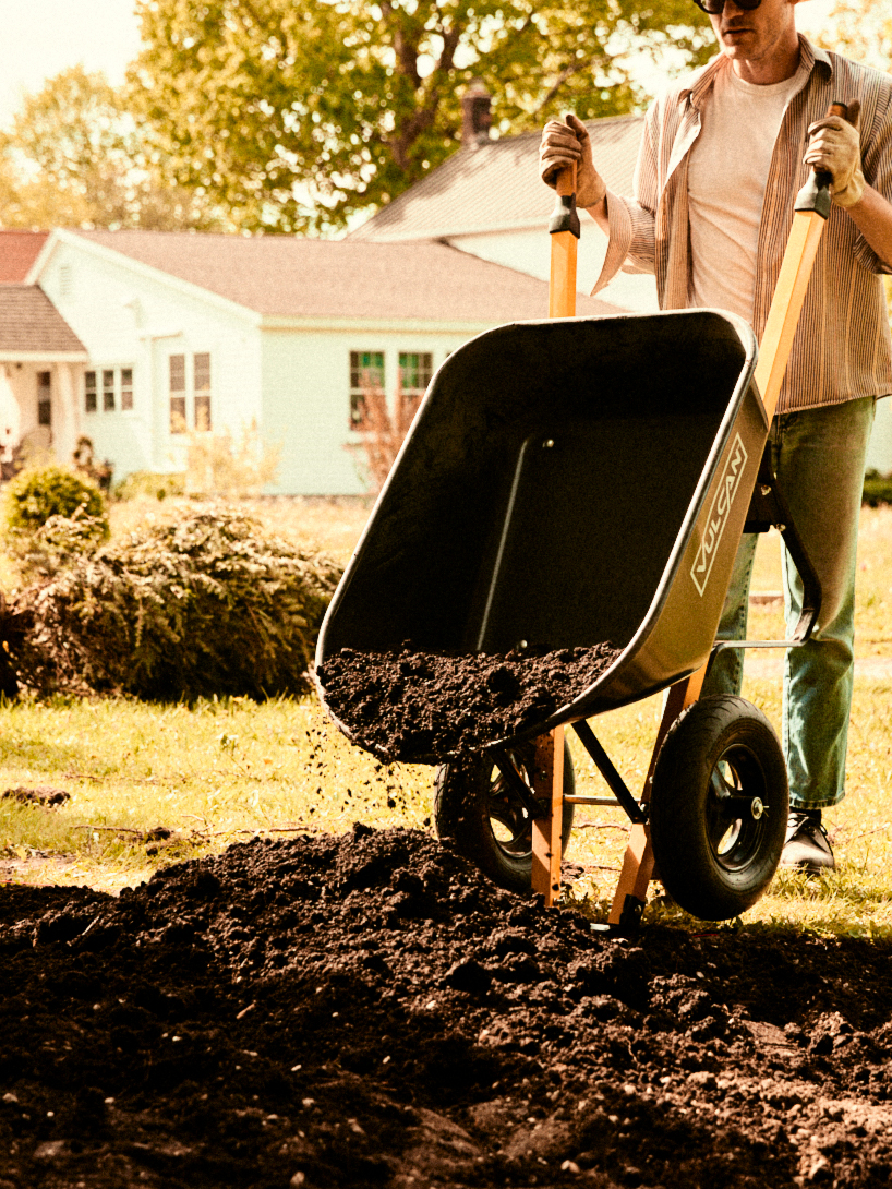 Every Good Shade Garden Has This Feature Next to It, Says Pro Gardener ...