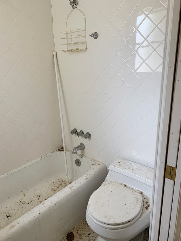 Kim Spradlin Wolfe’s San Antonio Guest House Renovation Called for ...