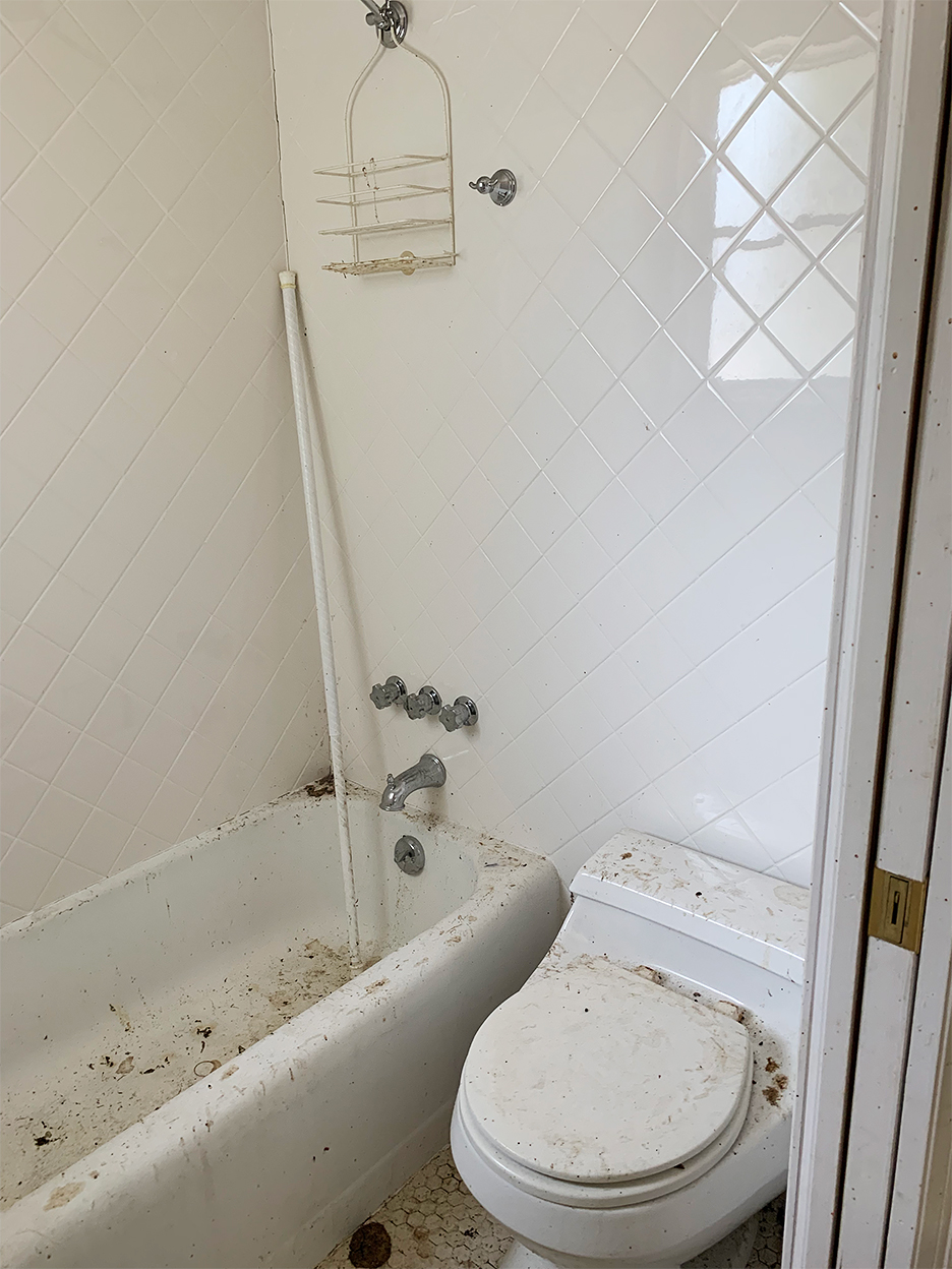 Kim Spradlin Wolfe’s San Antonio Guest House Renovation Called for ...