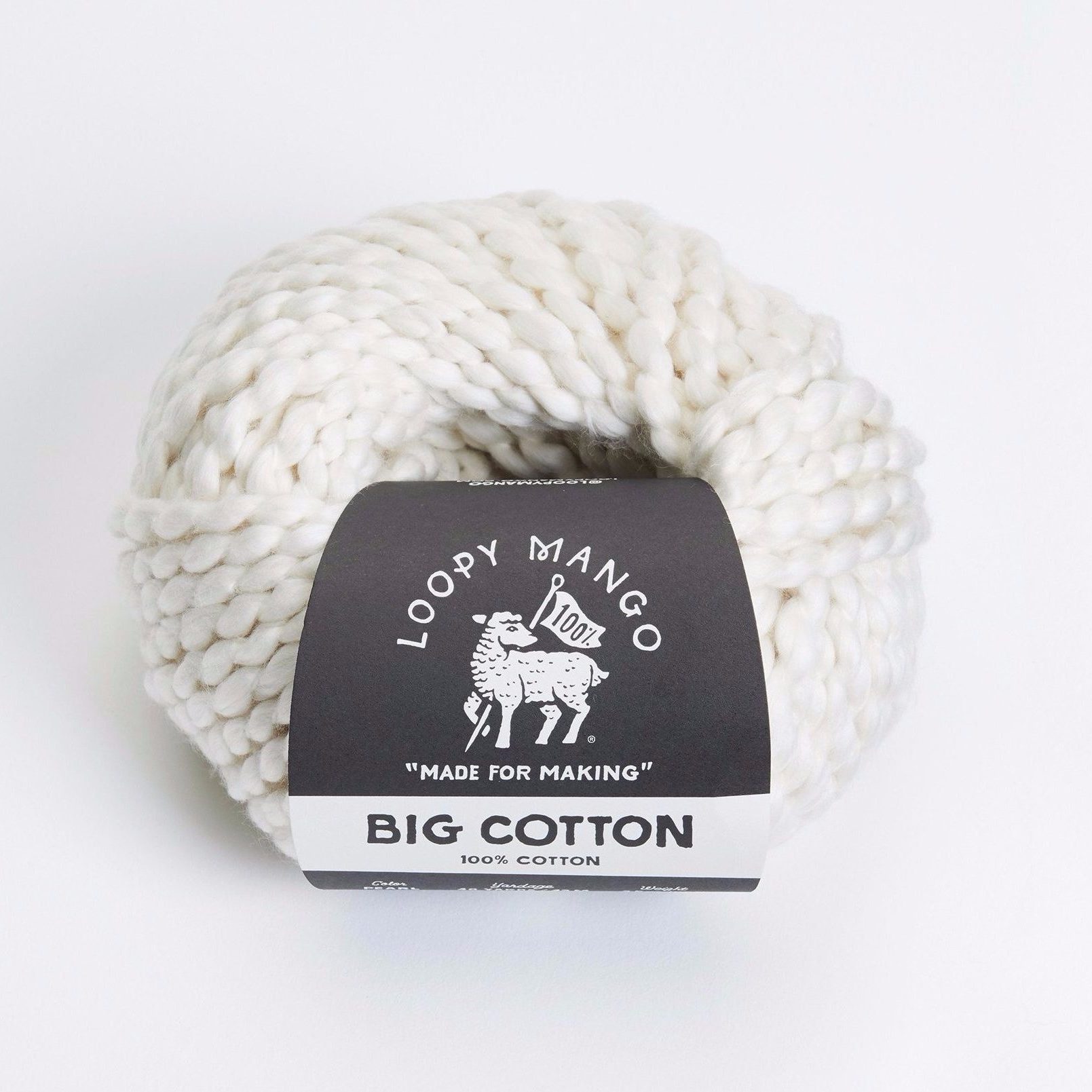 How to DIY Amanda Seyfried’s Crochet Leek