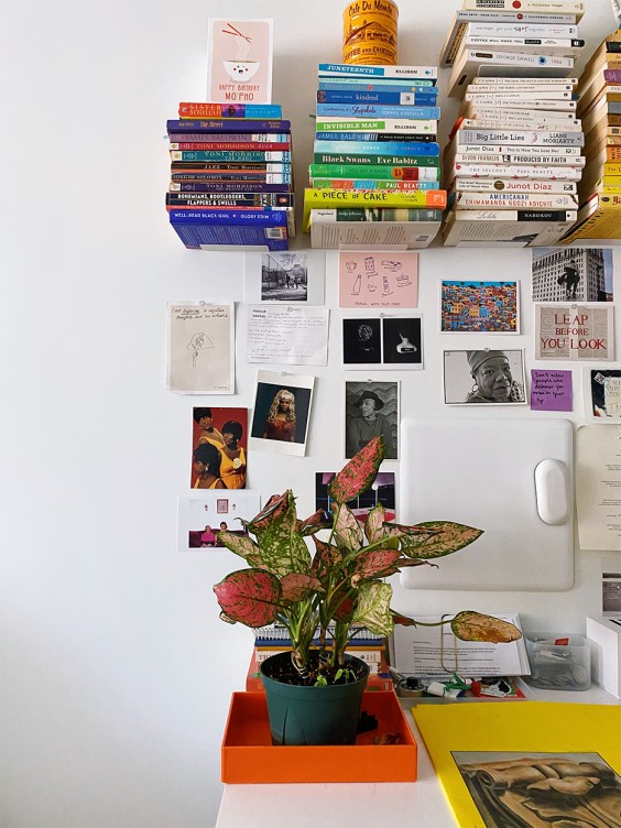 How a Blogger Perfected Her Color-Coded Floating Library