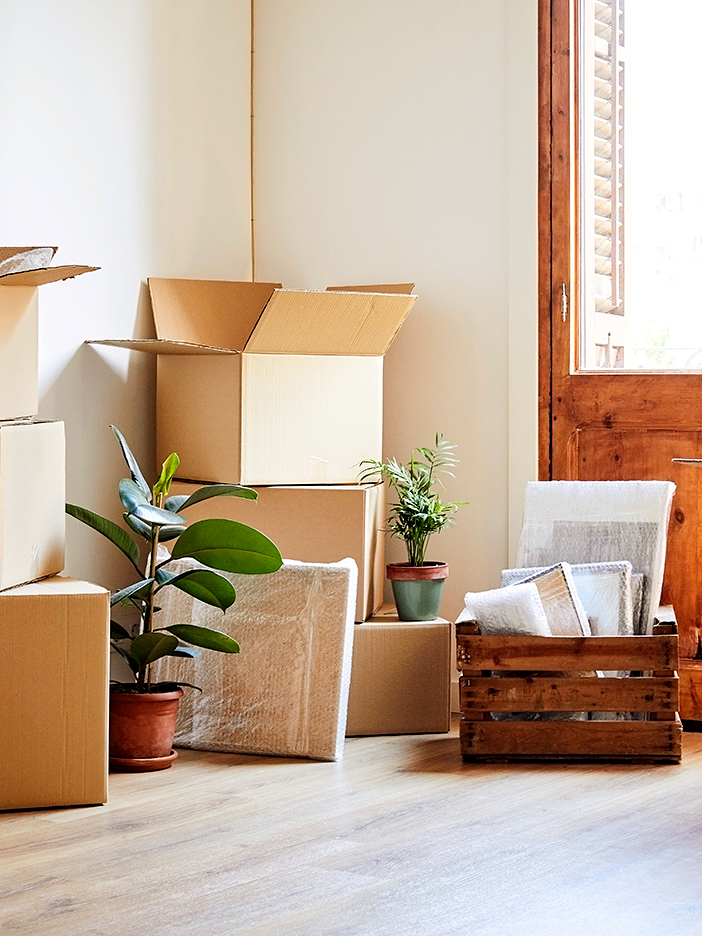 Moving Tips From Creatives Actually Doing It