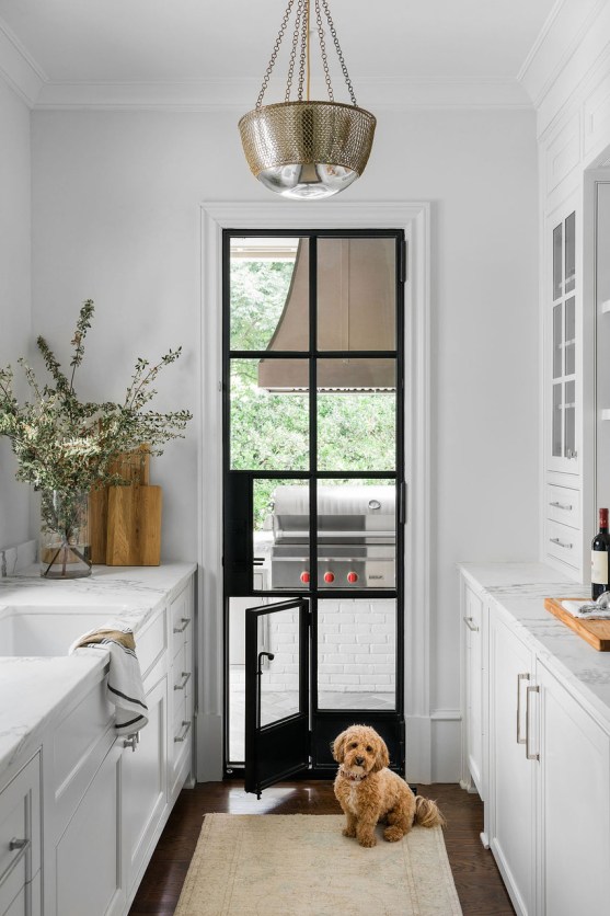 The Most Stylish Pet Door You’ll Ever See (No Plastic Flap In Sight)