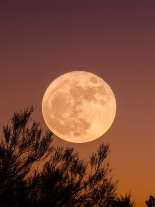 This Study Says The First Moon House Could Cost $60 Million