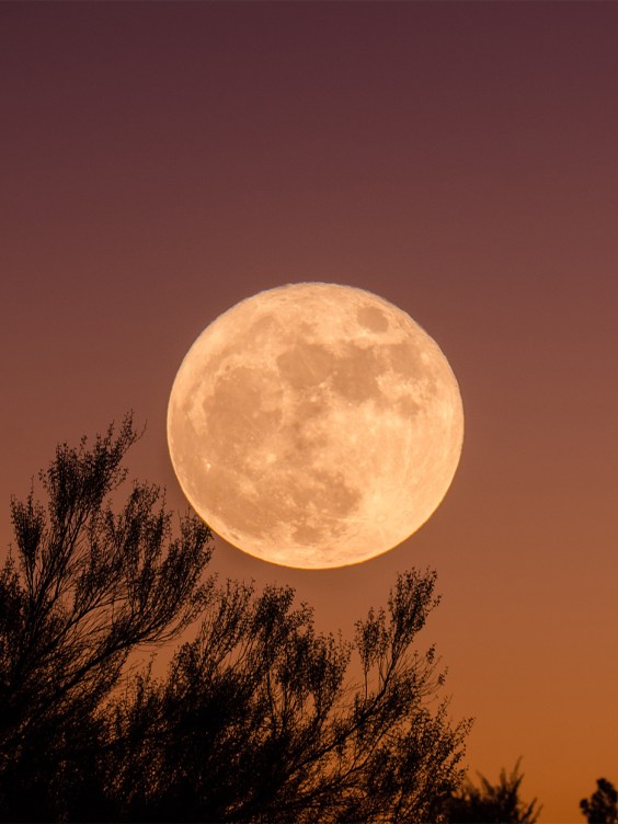 This Study Says The First Moon House Could Cost $60 Million