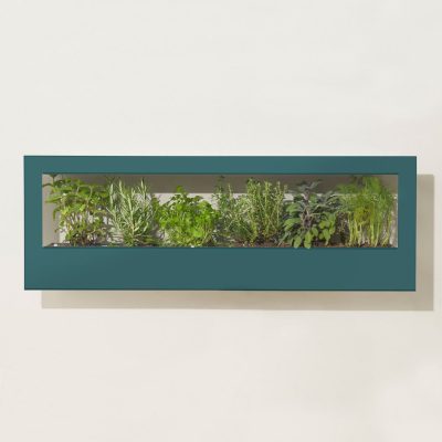 The Modern Sprout Grow Frame Review | domino