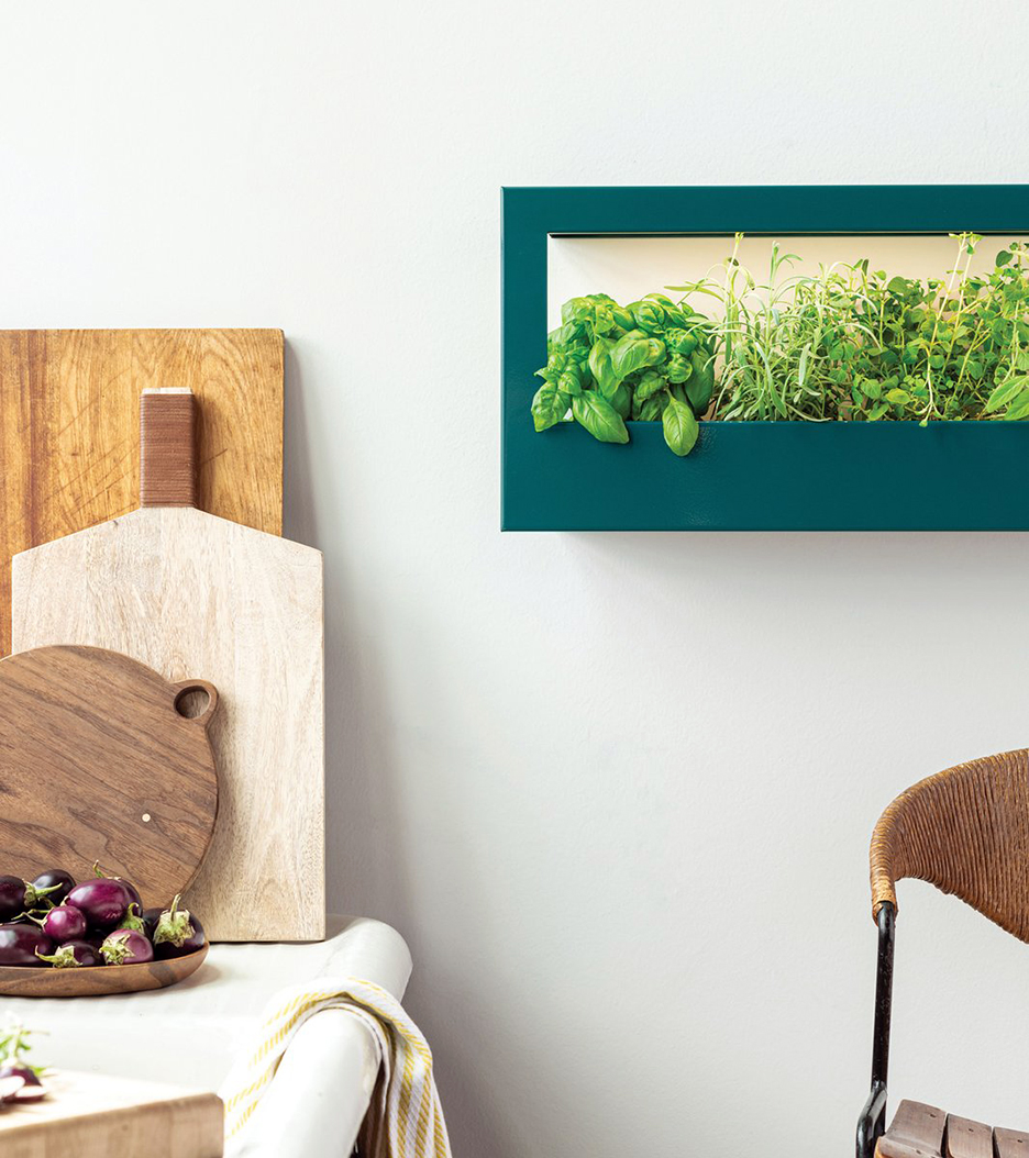 The Modern Sprout Grow Frame Review | domino