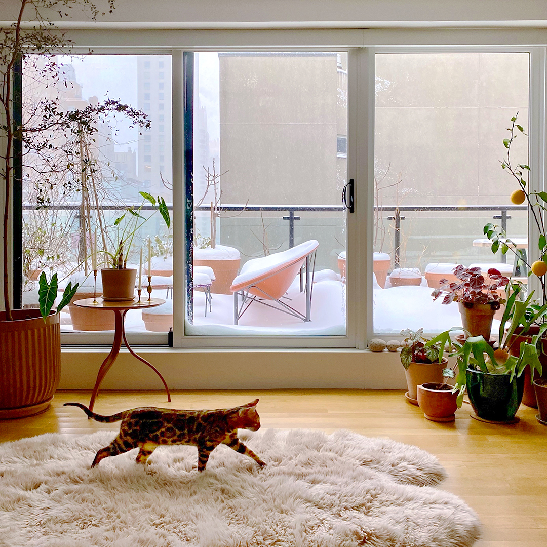 22 Soft and Fuzzy Items That Are Getting Us Through the End of Winter ...