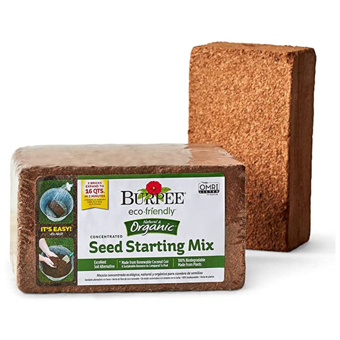 The Best Soil for Indoor Plants in 2022 | domino