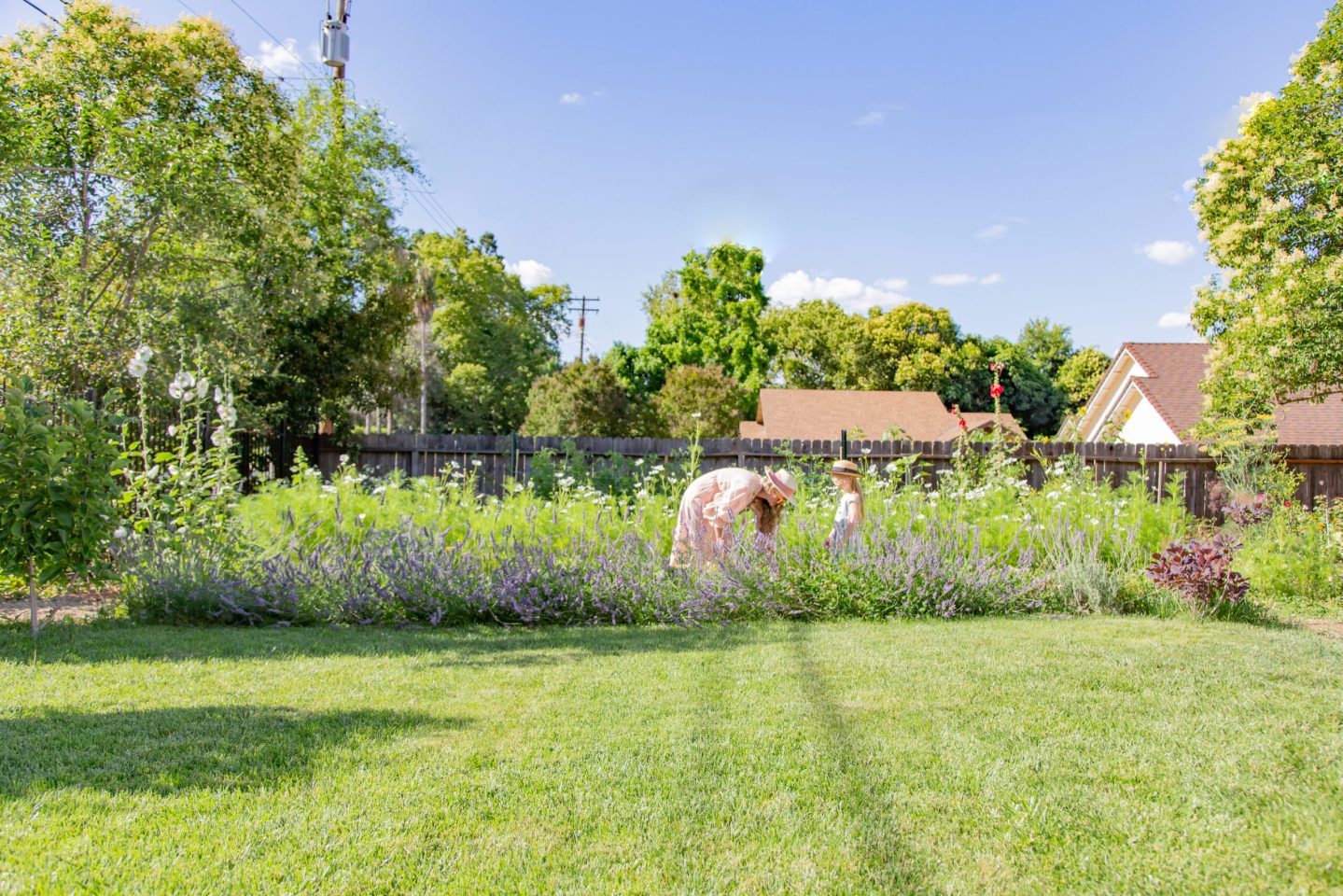 Tour a Dreamy Sacramento Backyard with a Pink Tiled Pool and Lush Garden