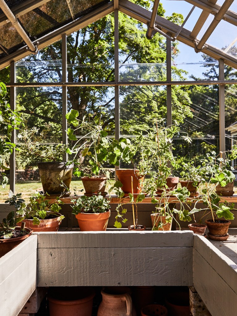 How Jordan Ferney Revived the Old Greenhouse Everyone Told Her to Tear ...