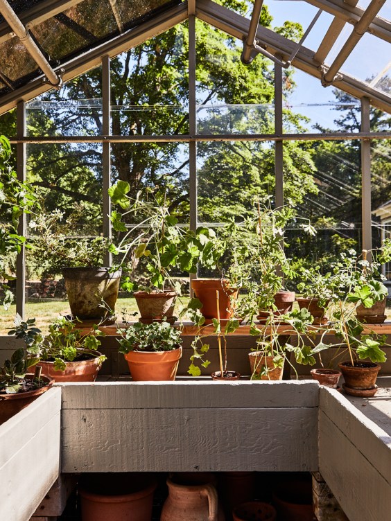 How Jordan Ferney Revived the Old Greenhouse Everyone Told Her to Tear ...