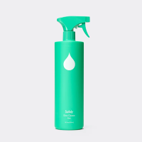 Best Glass Cleaner in 2022 | domino